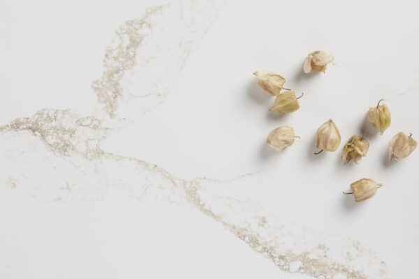 Browse Verona Gold (Ultra Natural Range) Online | Universal Stone